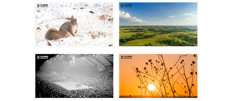 Download your new K-State themed Zoom Backgrounds today | K-State ...