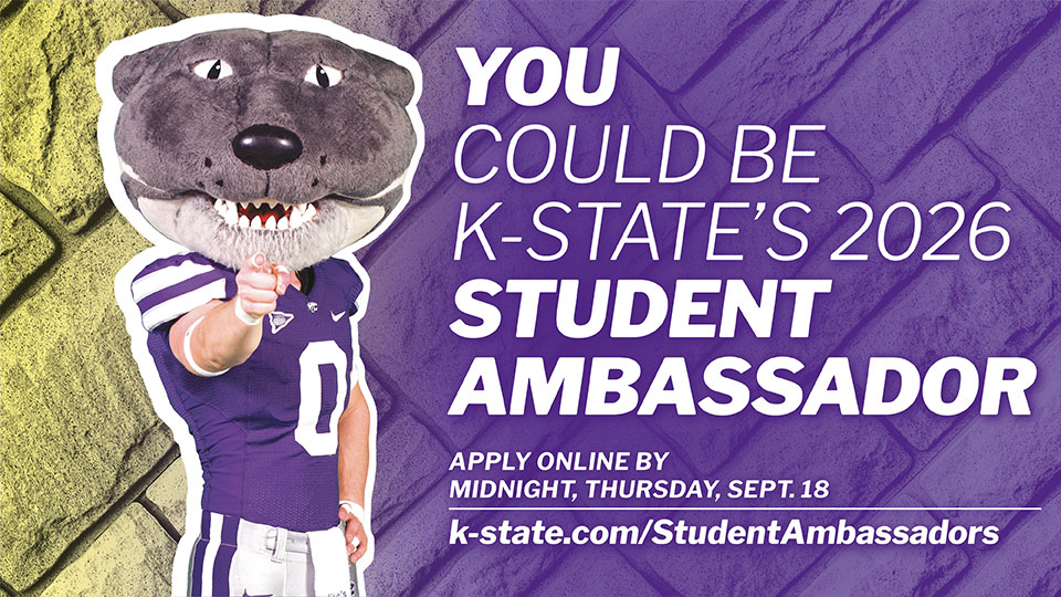 Apply to be a 2026 K-State Student Ambassador | K-State Alumni Association